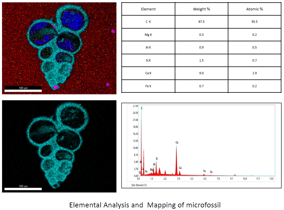 Environmental Scanning Electron Microscope Facility | IITBombay
